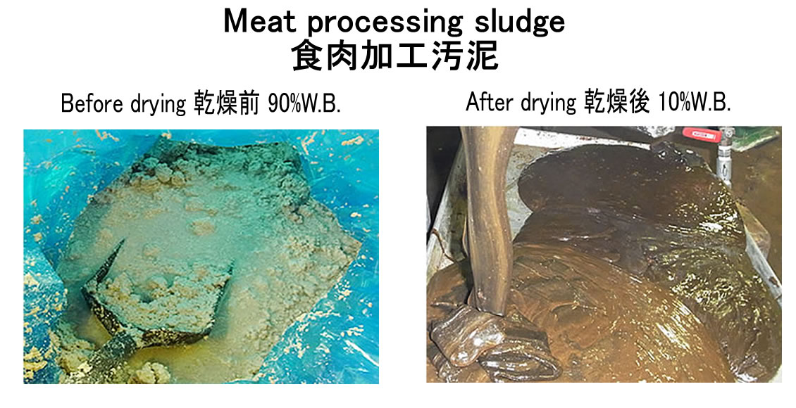 Drying of meat processing sludge | KENKI DRYER